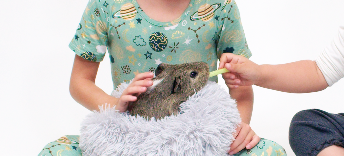 Small Animal Products – Paw Inspired