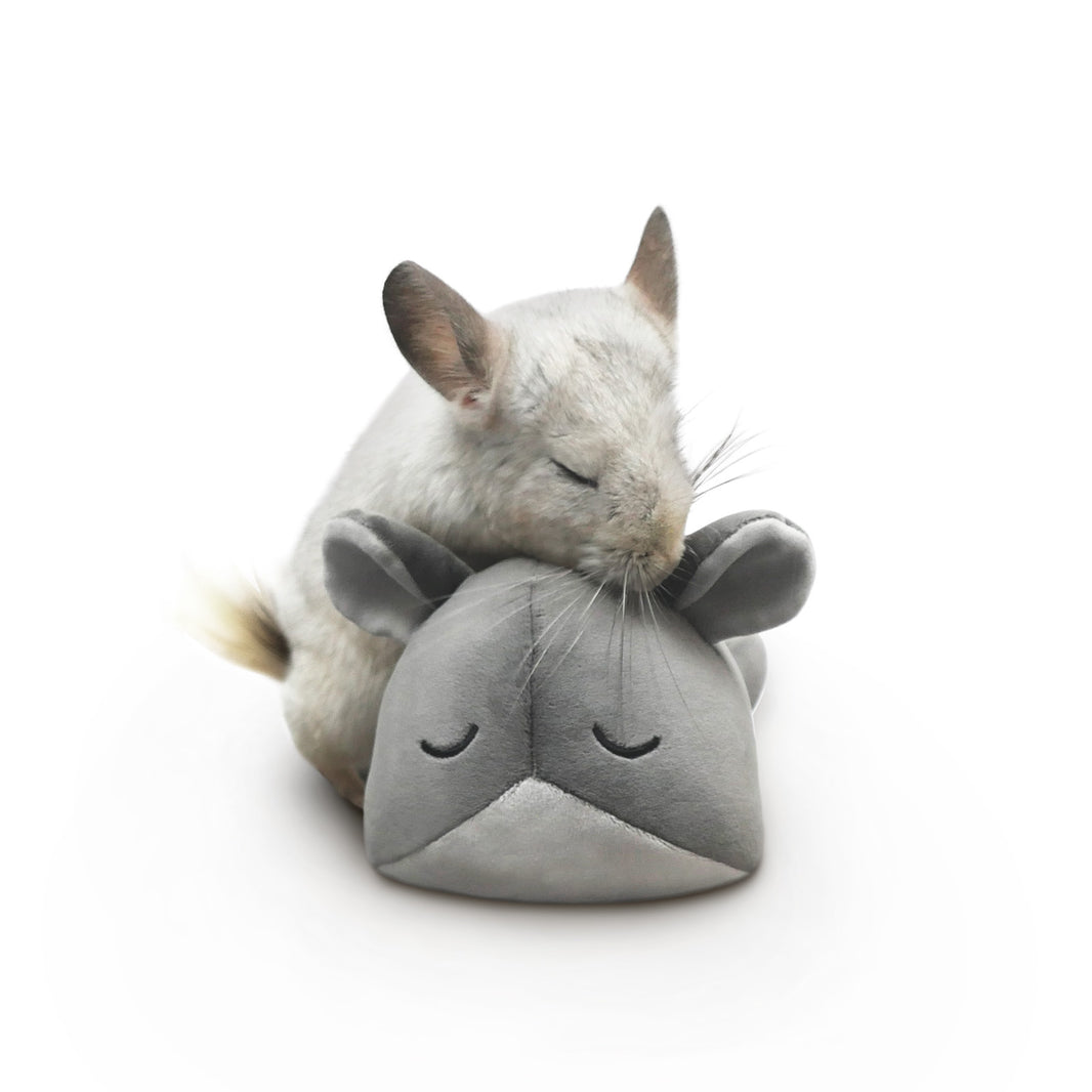 Paw Inspired | Small Animal Products