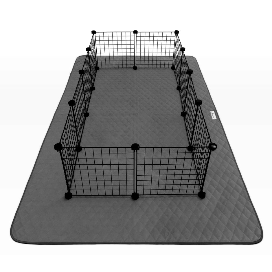 Paw Inspired | Dog Products