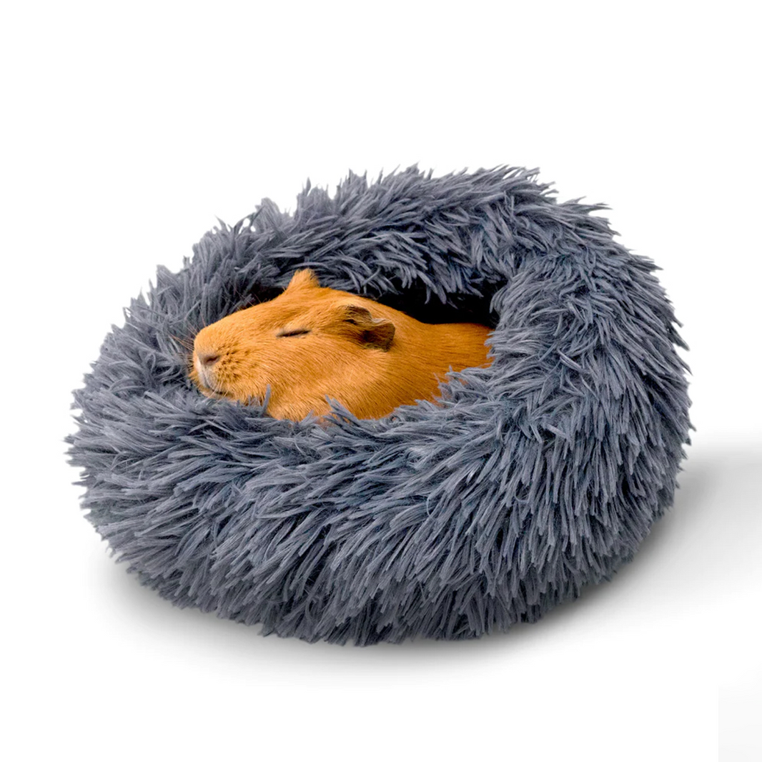 Paw Inspired | Small Animal Products